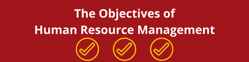 Human Resource Management [A Simple Guide] | Business Consulting | Dan Shaw