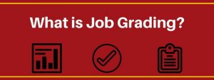 Performance Management & Job Grading - Danshaw